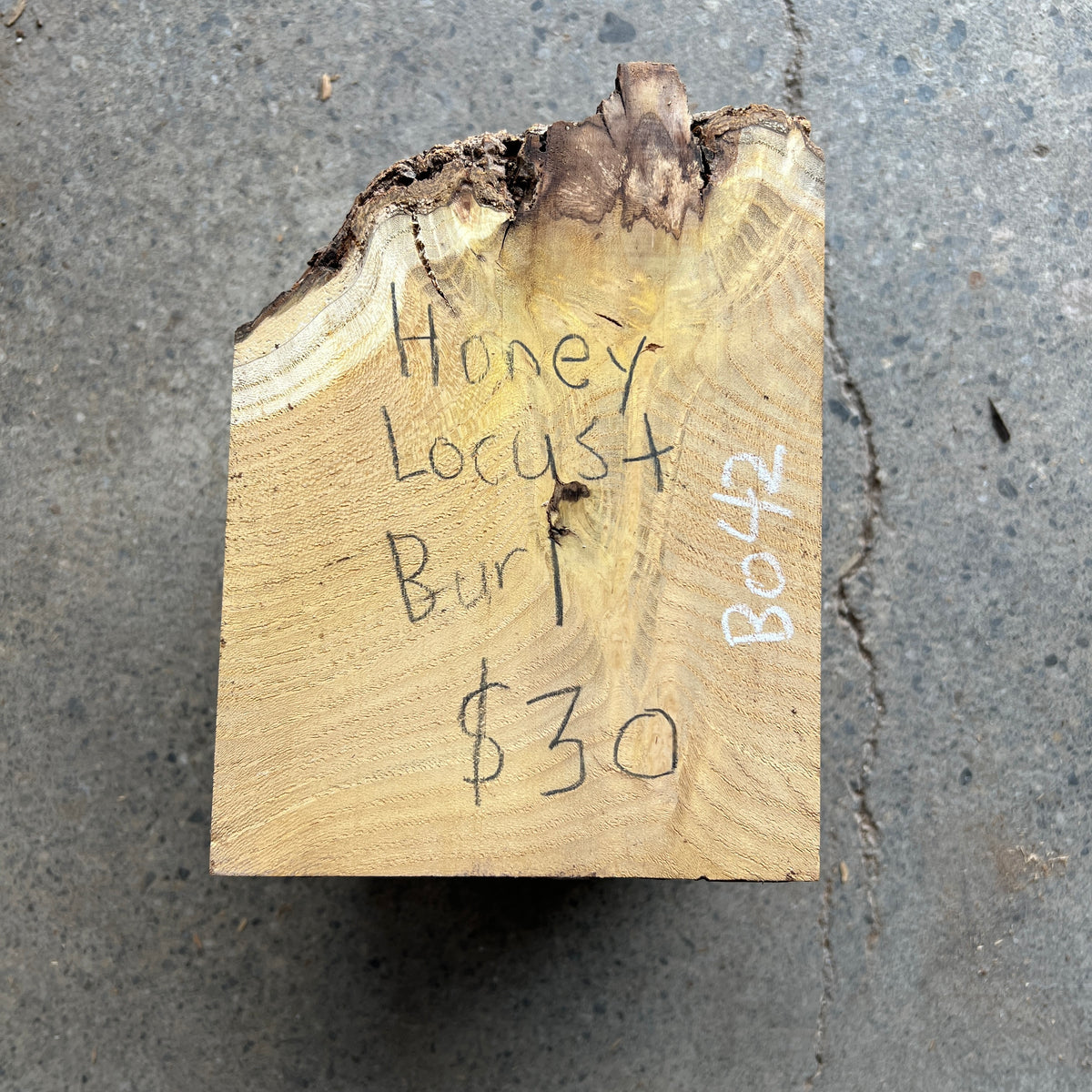 Honey Locust Burl 7.5”x5.5”x5.5” – Black Forest Wood Co.