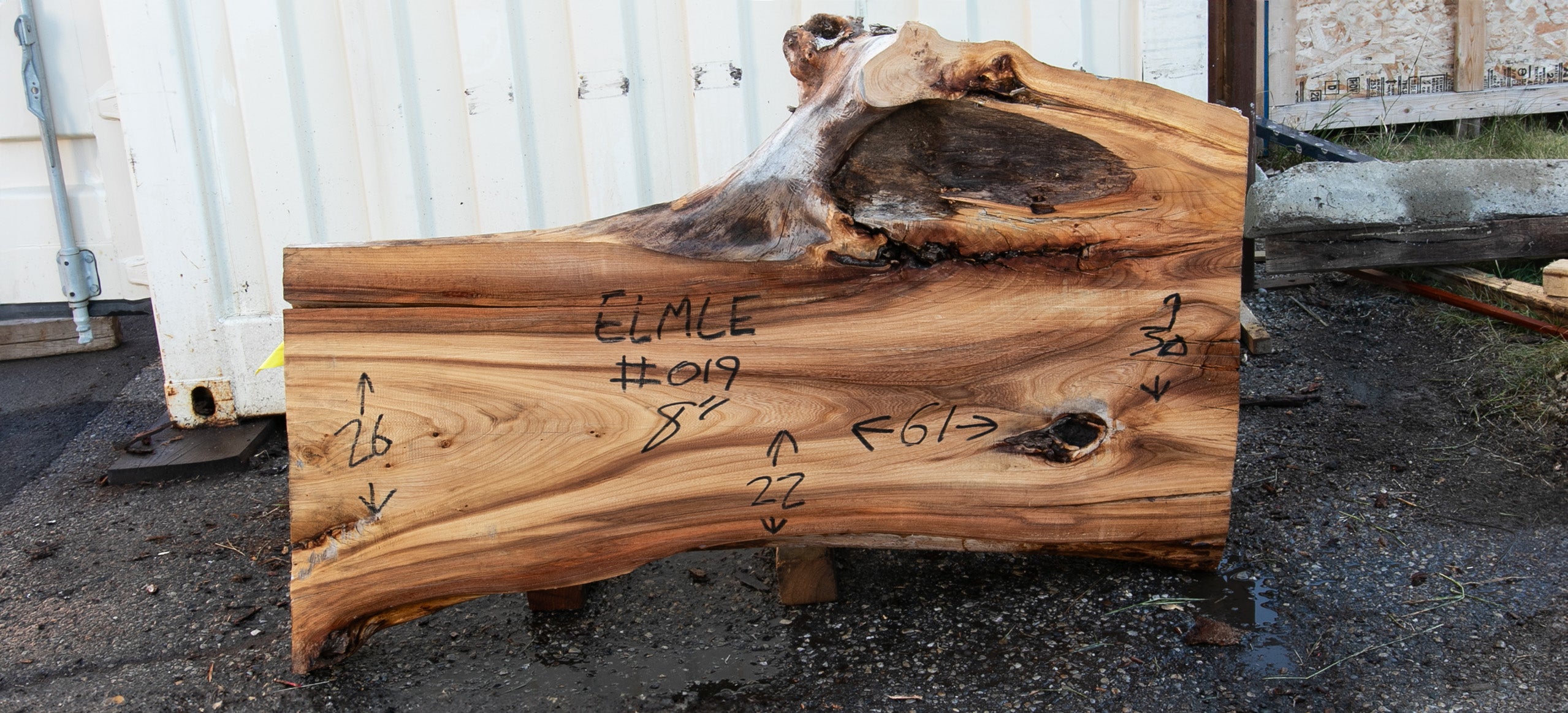 Live Edge Tree Slabs Live Edge Dining Table Slabs — Urban Oak