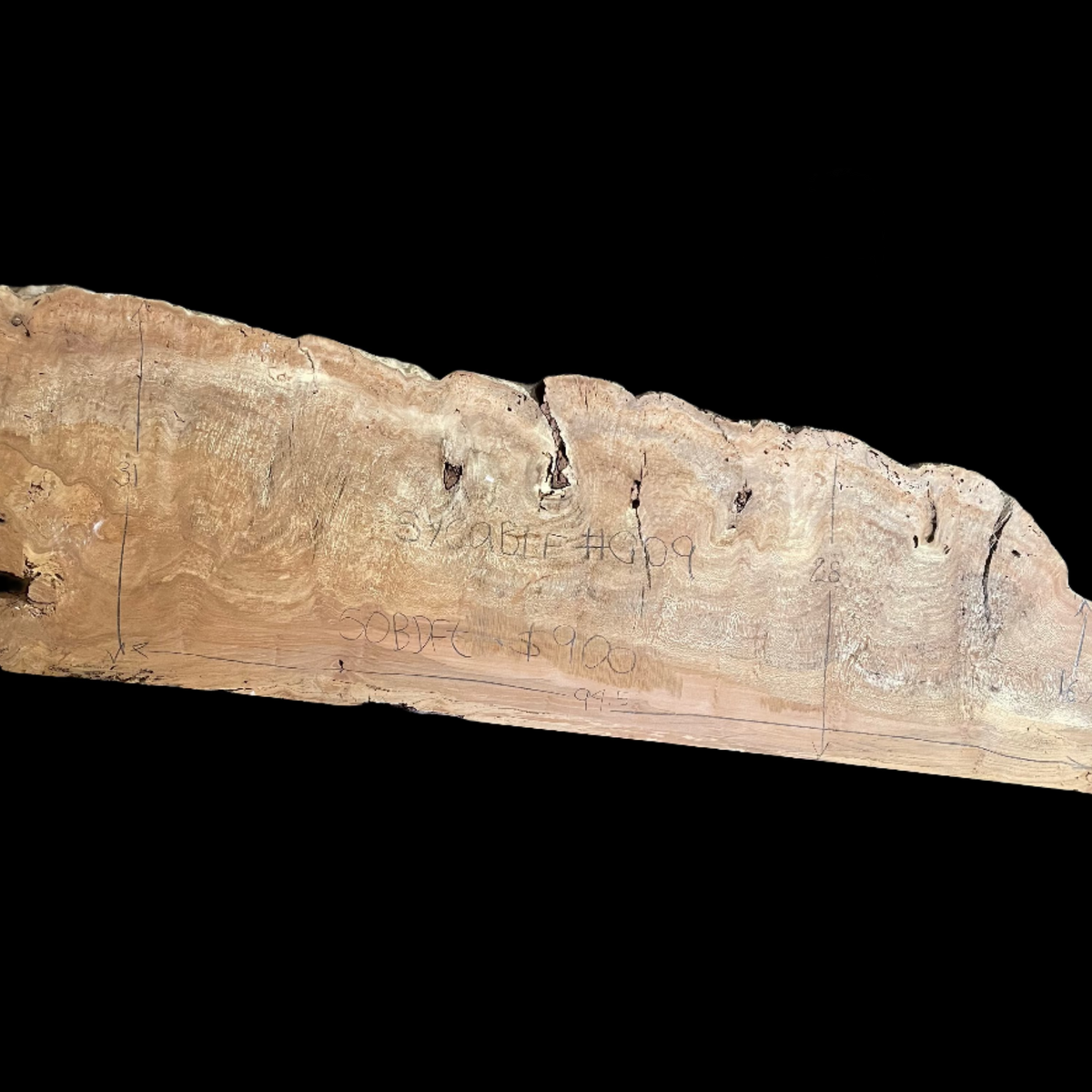 Sycamore Burl 12/4Live Edge #009 – Black Forest Wood Co.