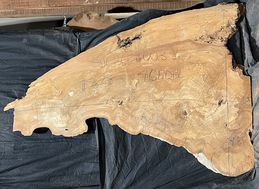 Sycamore Burl 12/4 Live Edge #003 – Black Forest Wood Co.