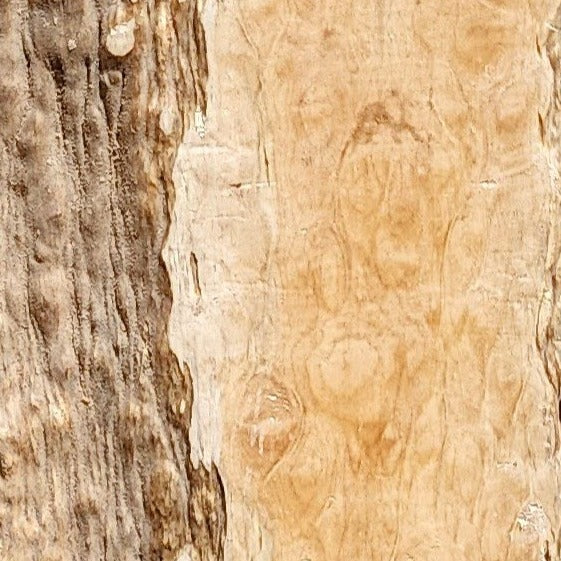 Maple, Quilted Western - AAA – Black Forest Wood Co.