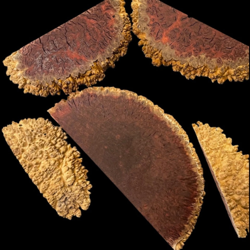 Jarrah Burl Slices – Black Forest Wood Co.